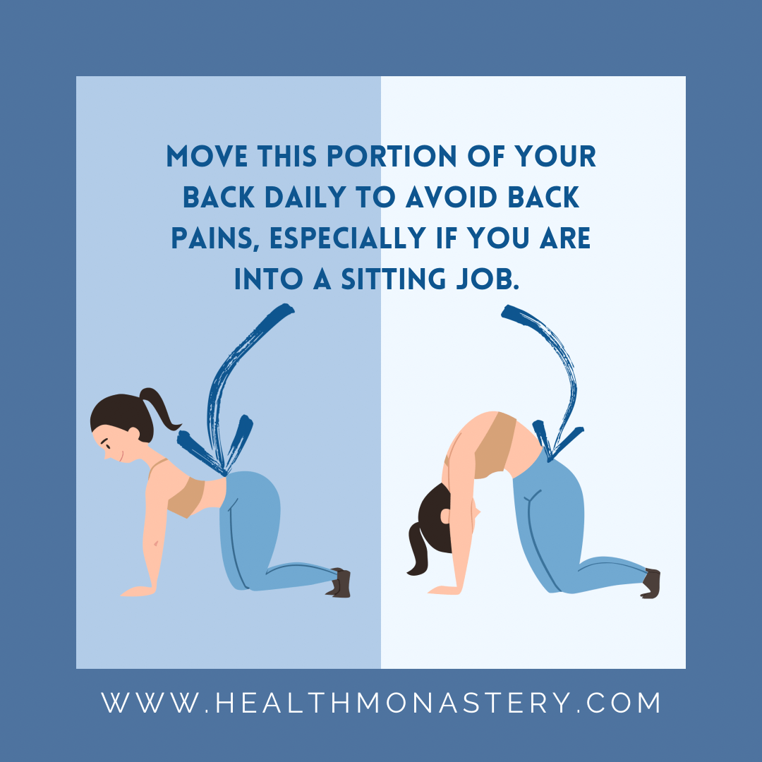 5 Lower Back Stretches for Pain Relief and Strengthening